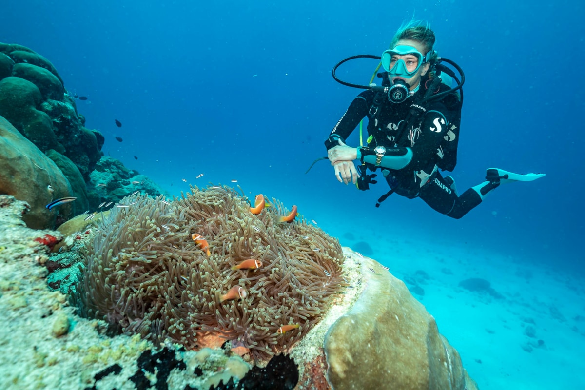 Unisex Automatic DS Action Diver 38mm Powermatic 80 watch by Certina